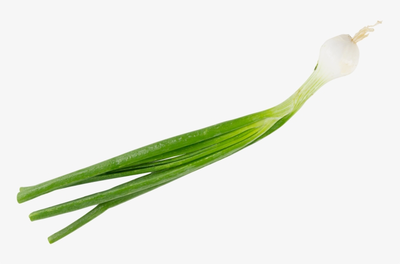 Chives - 866x650 PNG Download - PNGkit