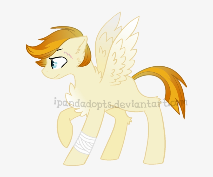 Mlp - Fim Imageboard - Image - 630x600 PNG Download - PNGkit