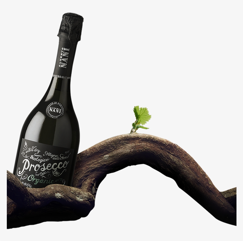 Nani Png - 775x1150 PNG Download - PNGkit