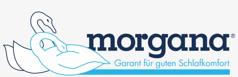 Morgana Png - 1882x523 PNG Download - PNGkit