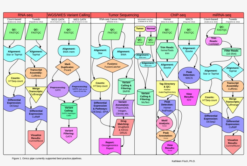 Omics Pipe Feat - 3300x2550 PNG Download - PNGkit