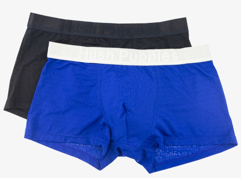 Arrival New - Logo - 1000x1000 PNG Download - PNGkit