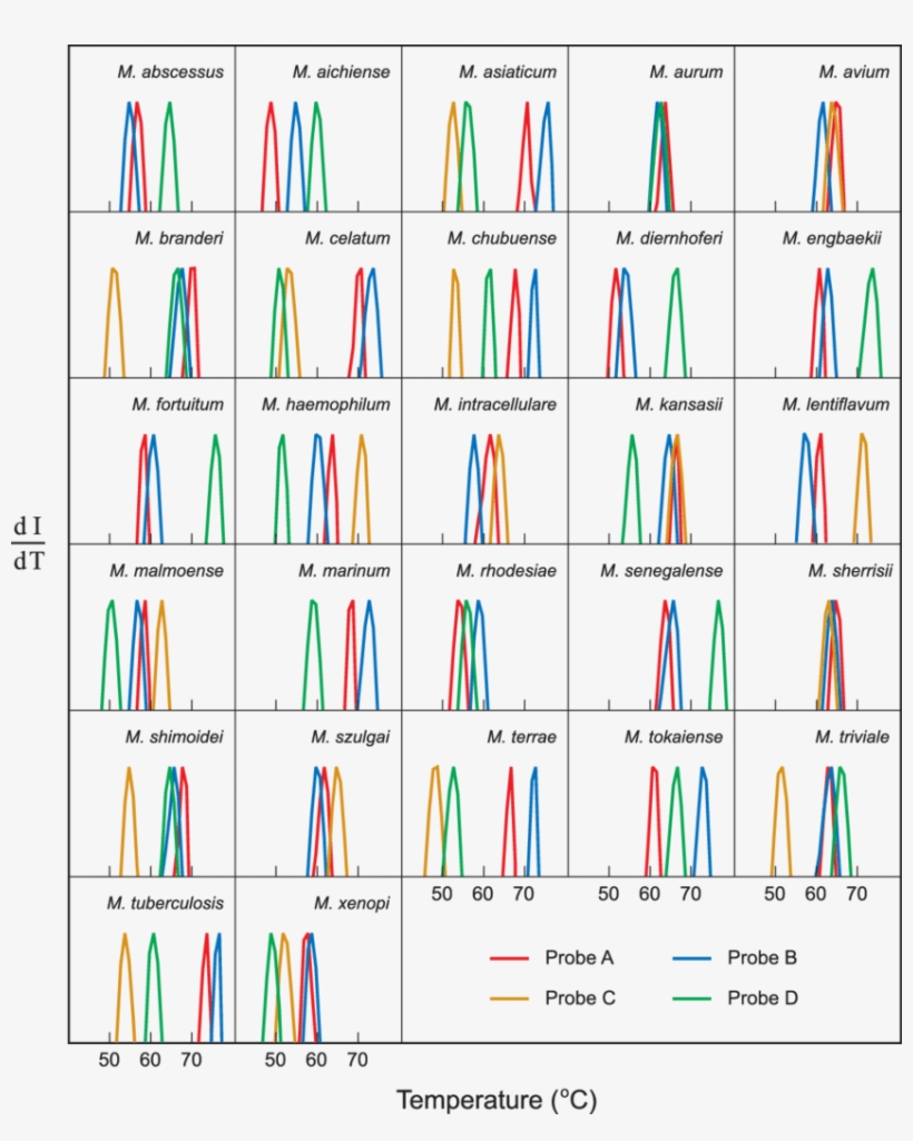 Species-specific Signatures For 27 Different Mycobacteria - 850x1022 ...