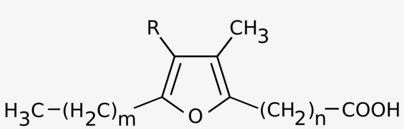 File - Ffa - Svg - 1280x346 PNG Download - PNGkit