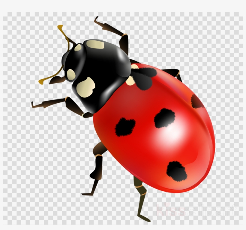 Rouge Png - 900x800 PNG Download - PNGkit