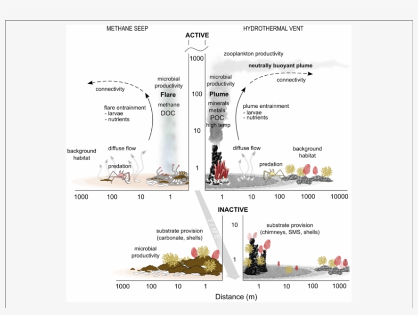 Schematic Of Seep And Vent Interactions With Surrounding - 850x601 PNG ...