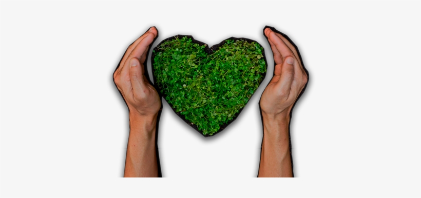 Maximum Respect For The Environment - 700x500 PNG Download - PNGkit