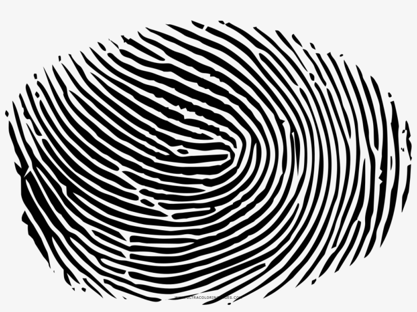 Outstanding Coloring Pages Mold - 1000x701 PNG Download - PNGkit