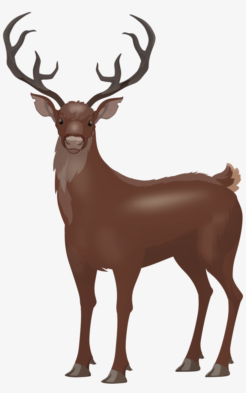 Stag Png - 5186x8000 PNG Download - PNGkit