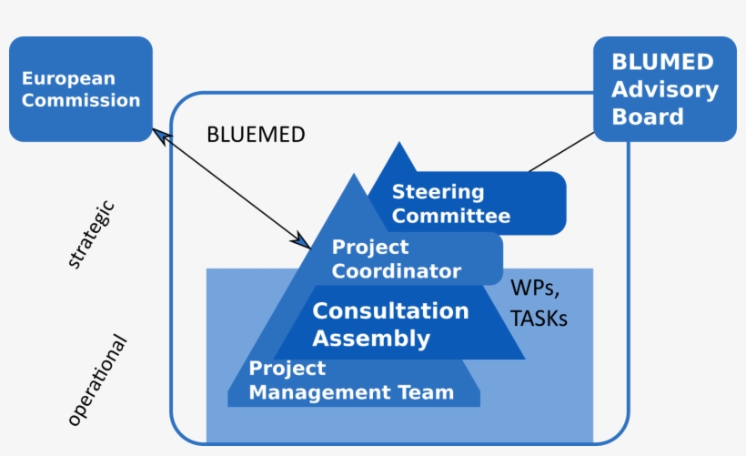 Management Structure - 1472x829 PNG Download - PNGkit