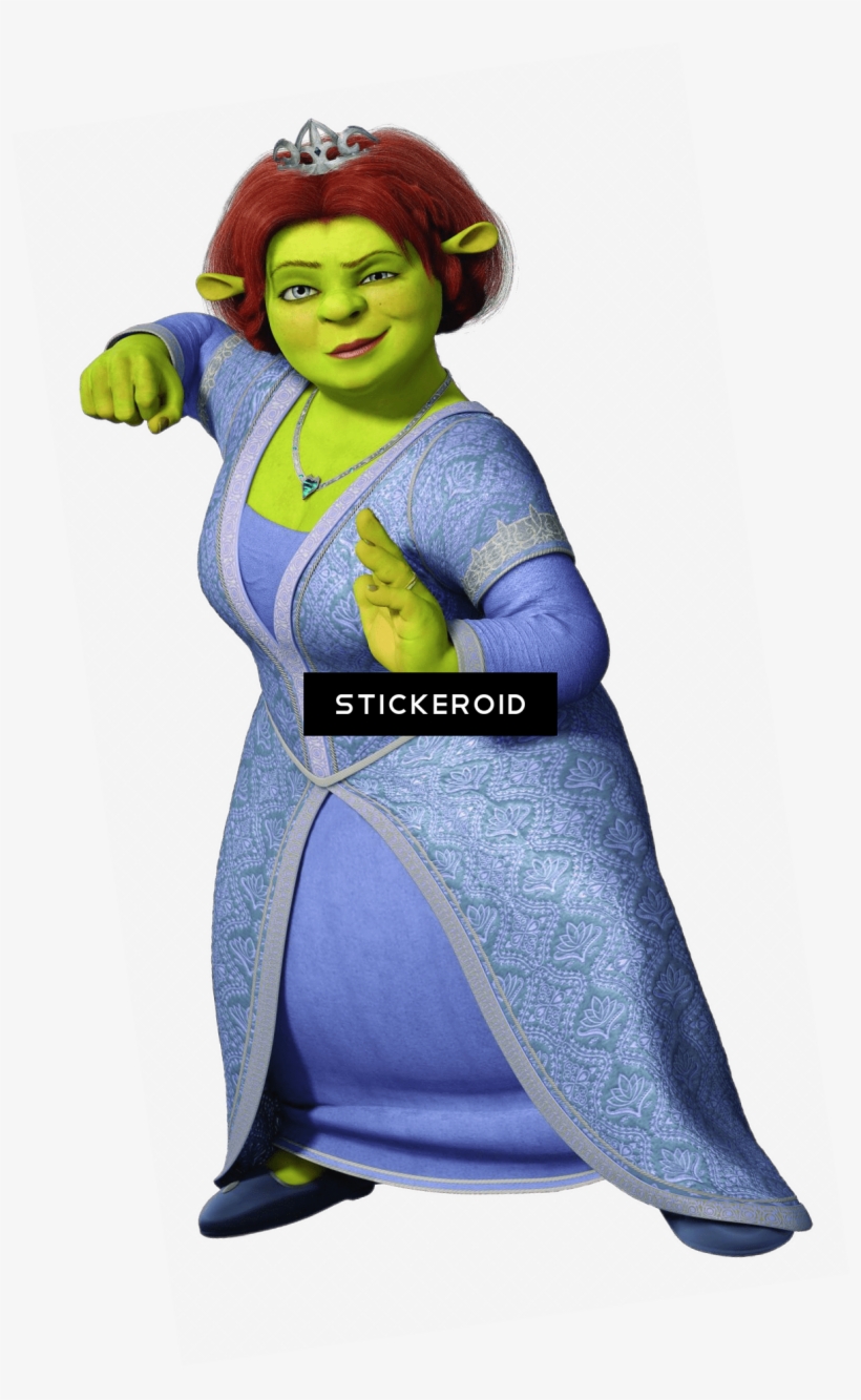 Princess Fiona Fighter - 1192x1880 PNG Download - PNGkit