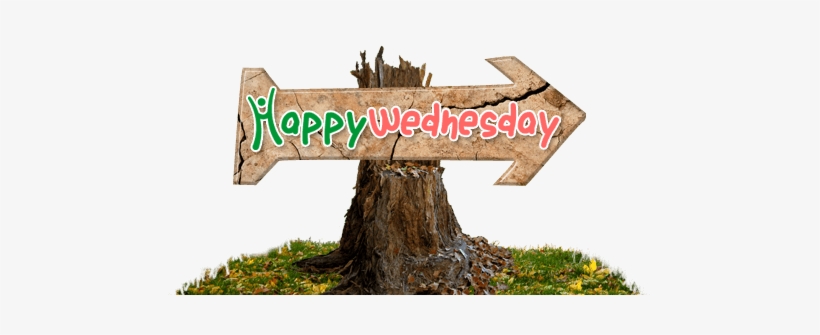 Download Transparent Wednesday - PNGkit