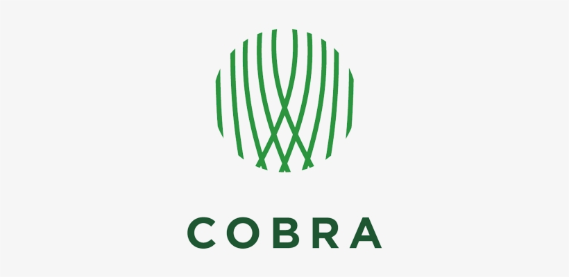 Cobra - Logo - 500x350 PNG Download - PNGkit