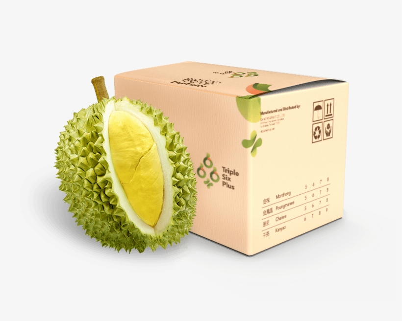 Fresh Durian - Box - 794x636 PNG Download - PNGkit