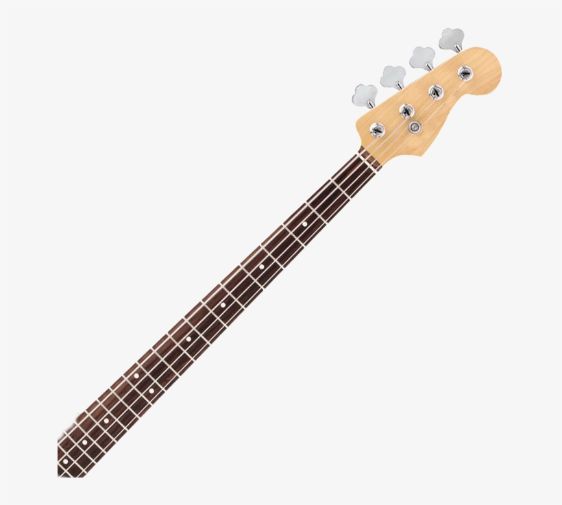 Bass Neck - 652x657 PNG Download - PNGkit