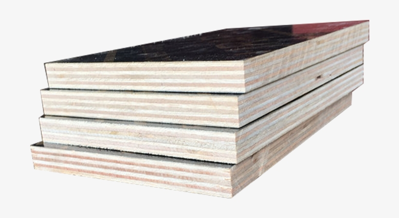 Plex Logo Png - 800x800 PNG Download - PNGkit