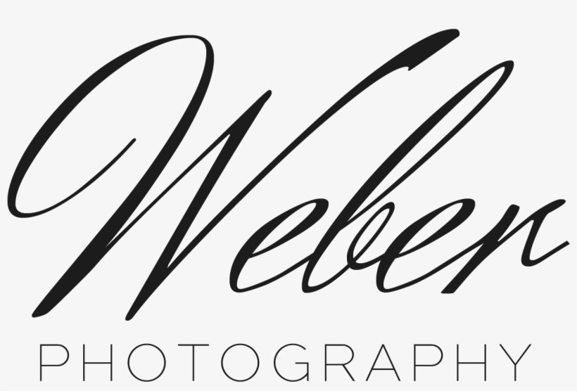 Weber Logo - 2408x1004 PNG Download - PNGkit