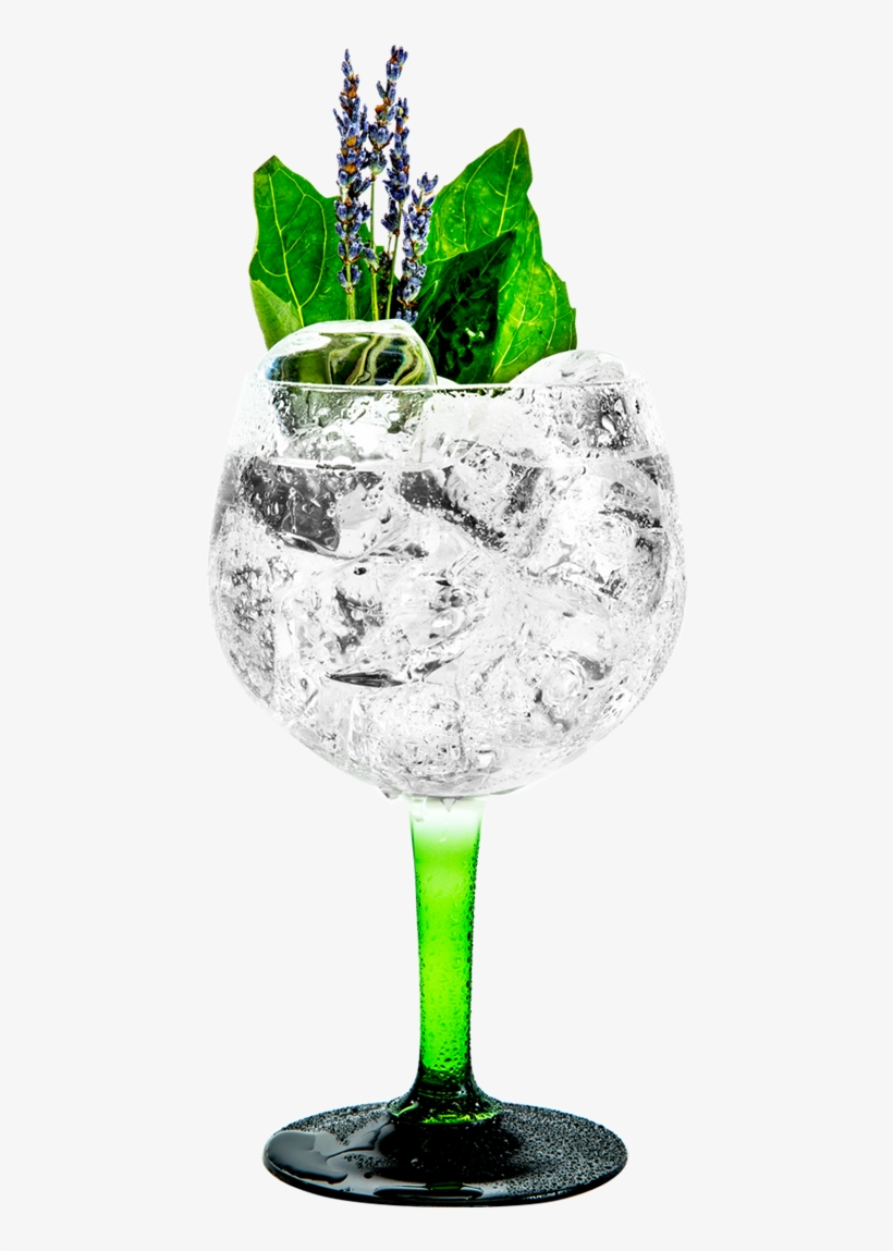 Lavender & Basil Tanqueray & Fever-tree - 493x1078 PNG Download - PNGkit