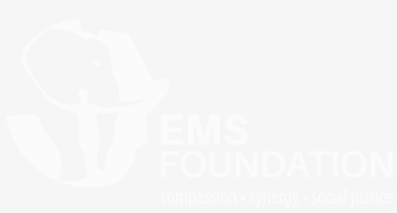 Ems Logo Png - 1603x782 PNG Download - PNGkit