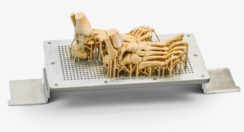 Skeleton Foot - 2048x1152 PNG Download - PNGkit