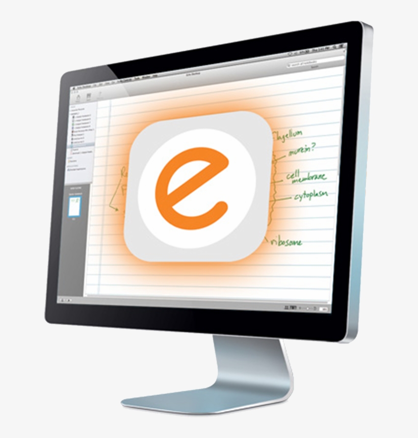 Echo Desktop - 648x779 PNG Download - PNGkit