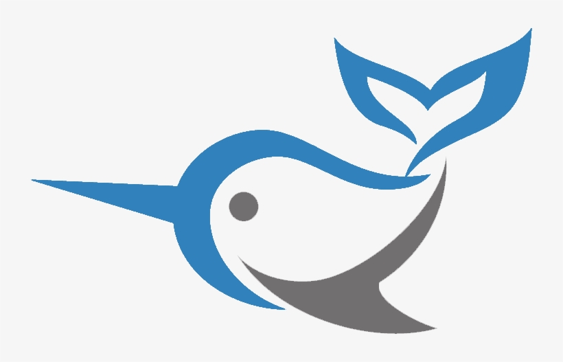 Narwhal Png - 731x447 PNG Download - PNGkit