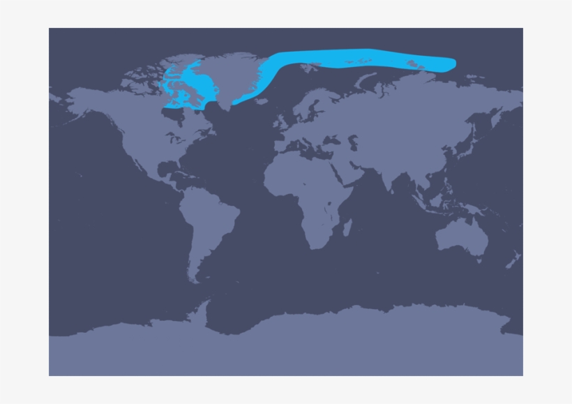 Distribution Map - - 680x499 PNG Download - PNGkit