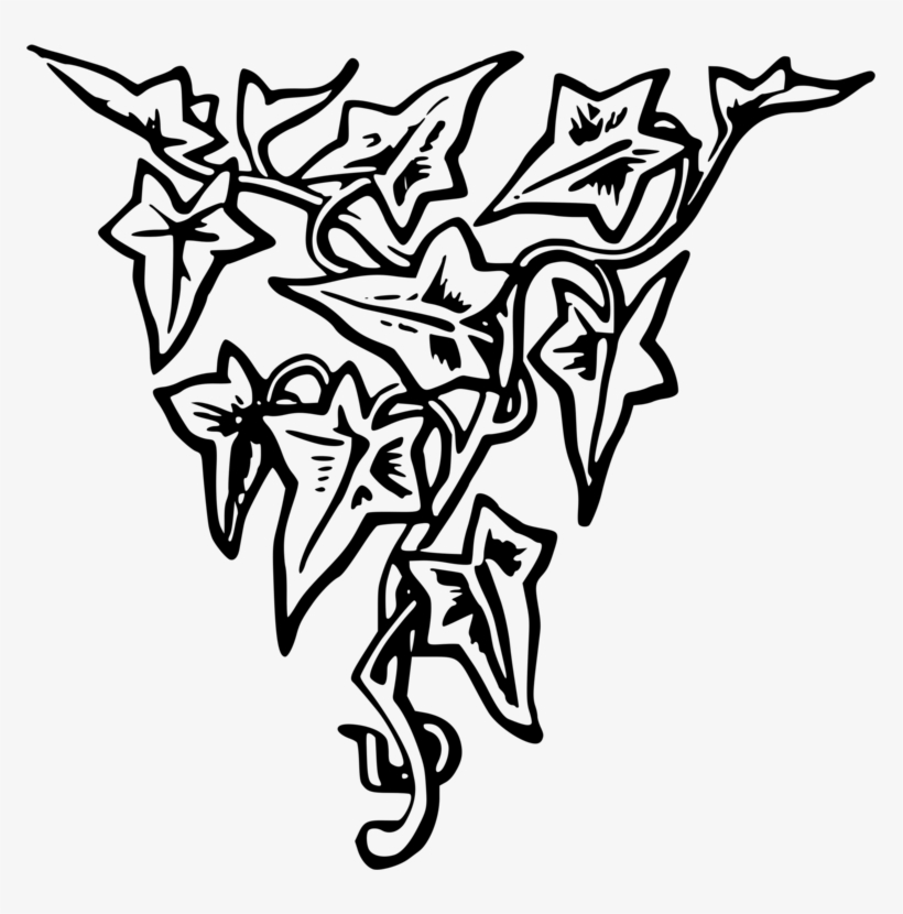 Line Art Drawing Decorative Arts Black And White - Clip Art - 771x750 ...