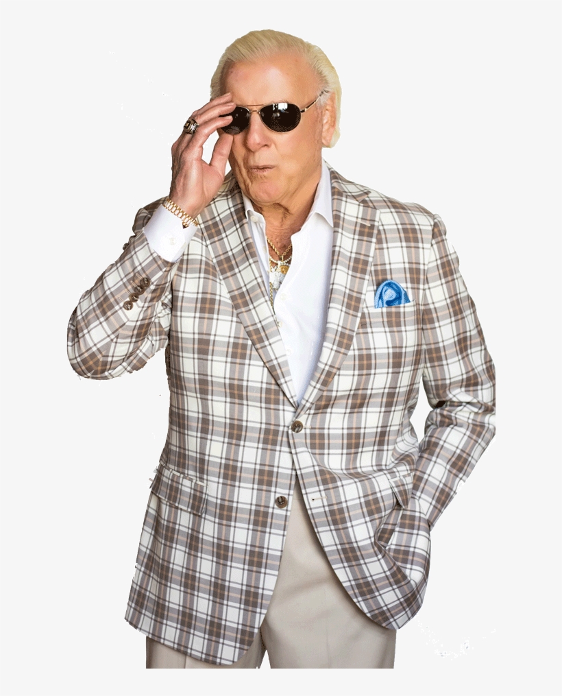 Ric Flair Png Png - 648x950 PNG Download - PNGkit