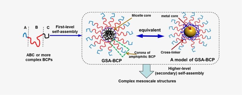 Download Transparent Schematic Illustration Of The Secondary Assembly ...