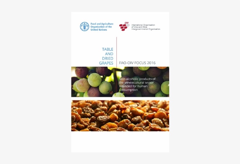 Consult The 2016 Focus - United Nations Redd Programme - 782x531 PNG ...