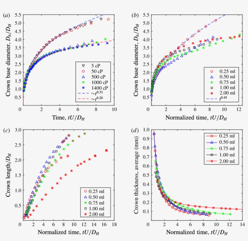 (a) The Base Diameter Of The Crown As A Function Of - Diagram - 850x785 ...