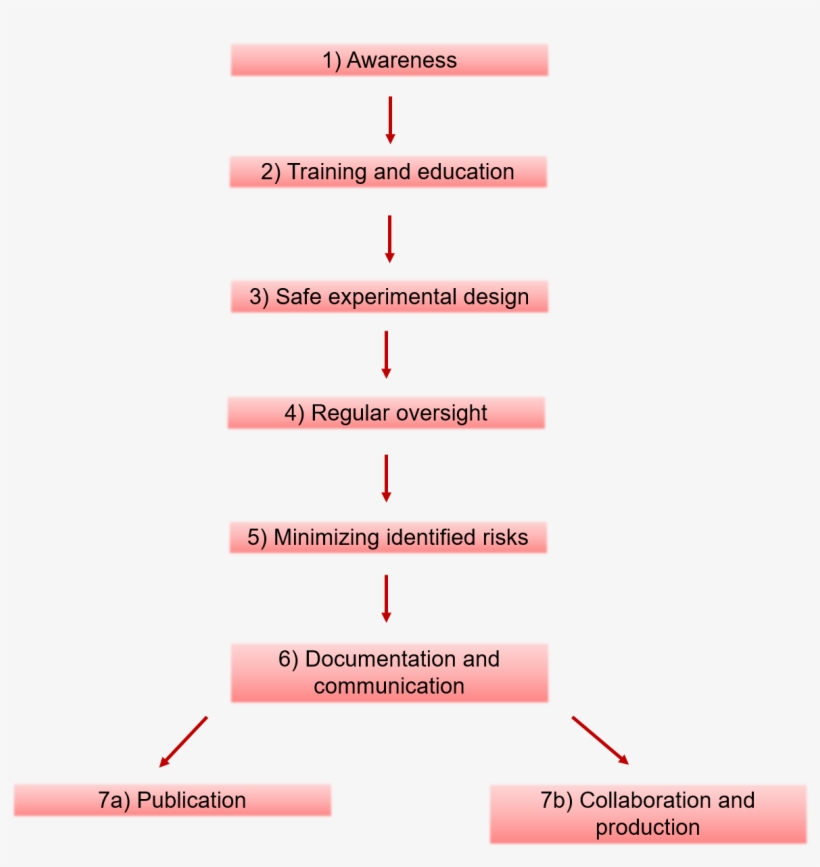 New Beginning Essay Emoji - Colorfulness - 1182x1208 PNG Download - PNGkit