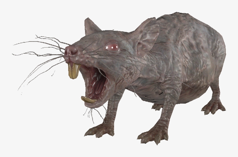 The Vault Fallout Wiki - Fallout Rat - 988x550 PNG Download - PNGkit