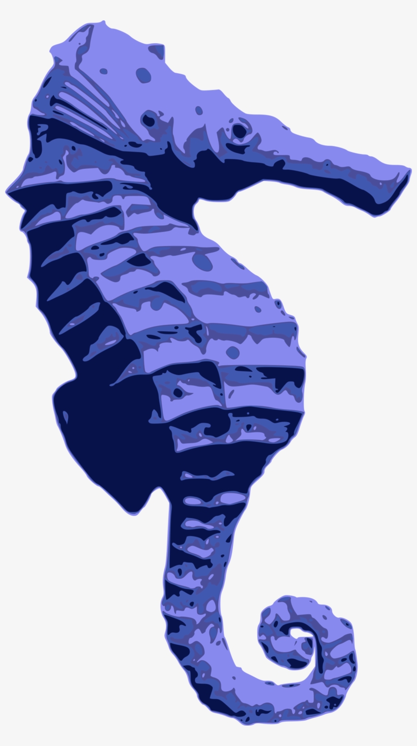 Blue Seahorse - Seahorse - 800x1387 PNG Download - PNGkit