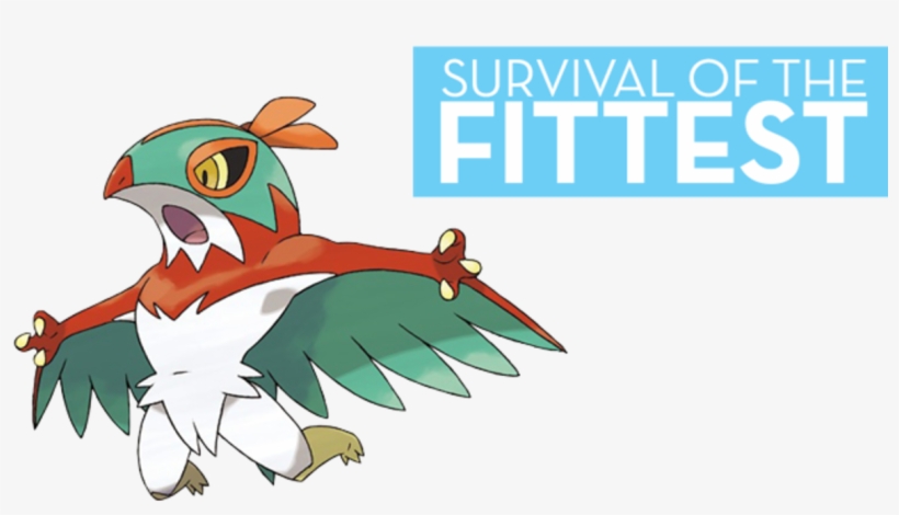 Hawlucha Evolution - 1200x675 PNG Download - PNGkit