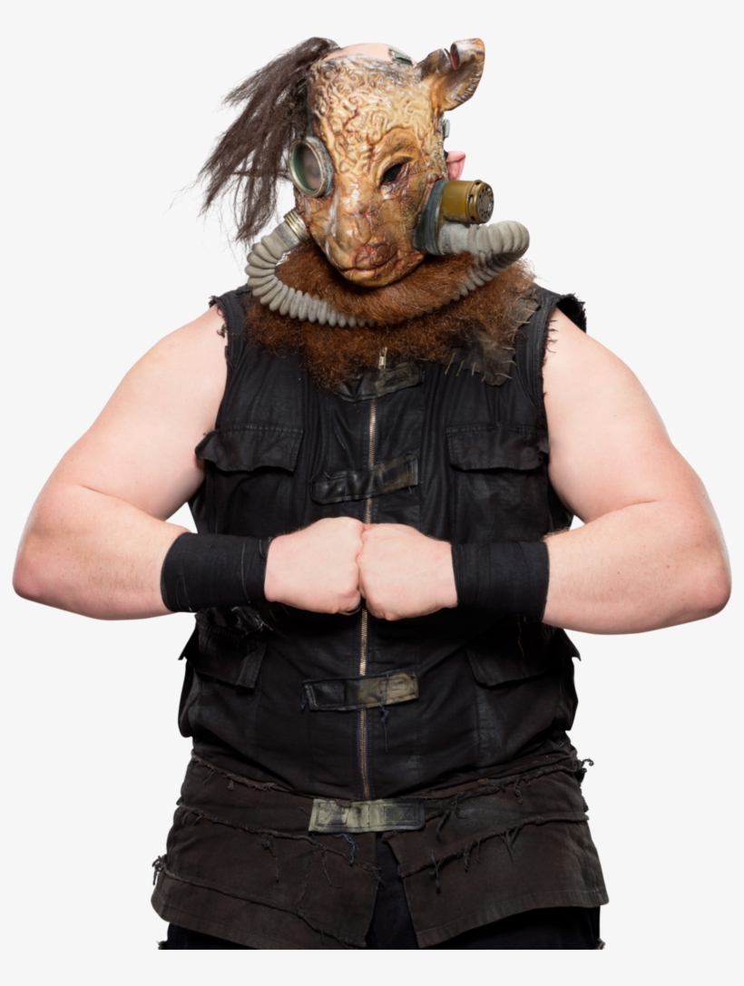 Erick Rowan Png - Erick Rowan 2017 Png - 794x1007 PNG Download - PNGkit