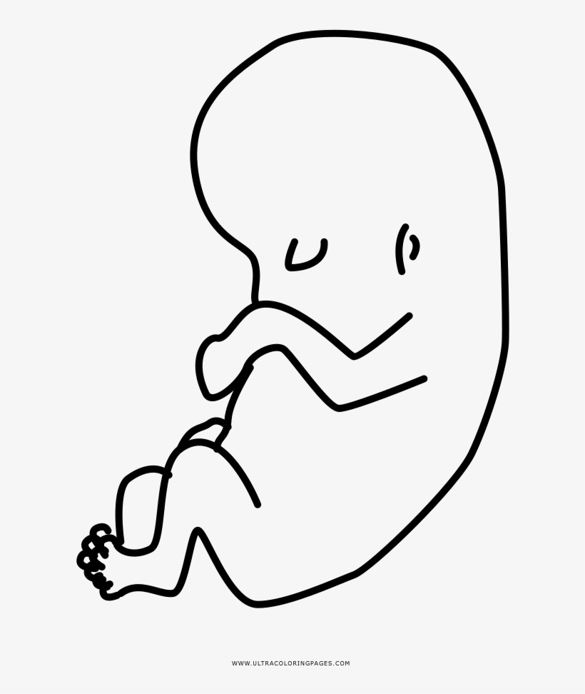 Feto Colorir Embrion Desenho Abrazo Imagui Pintar Sketch Coloring Page