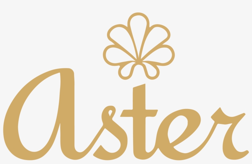 Logo - Calligraphy - 2400x2400 PNG Download - PNGkit