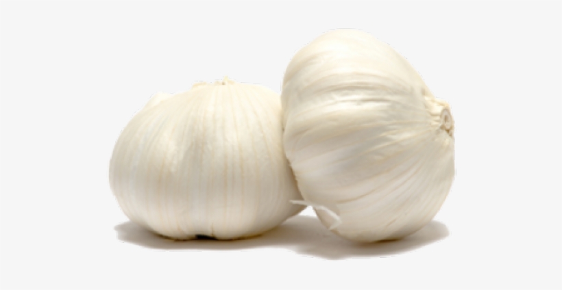 Garlic Png Transparent Images - Garlic Image Transparent Background ...