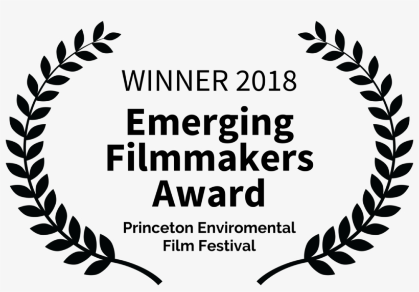 Emerging Filmmakers Award - Film Festival - 1000x664 PNG Download - PNGkit