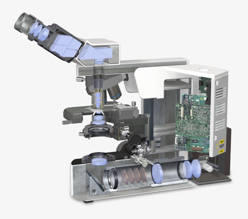 Transmitted Light Microscopy Optical Pathways - Machine - 794x666 PNG ...