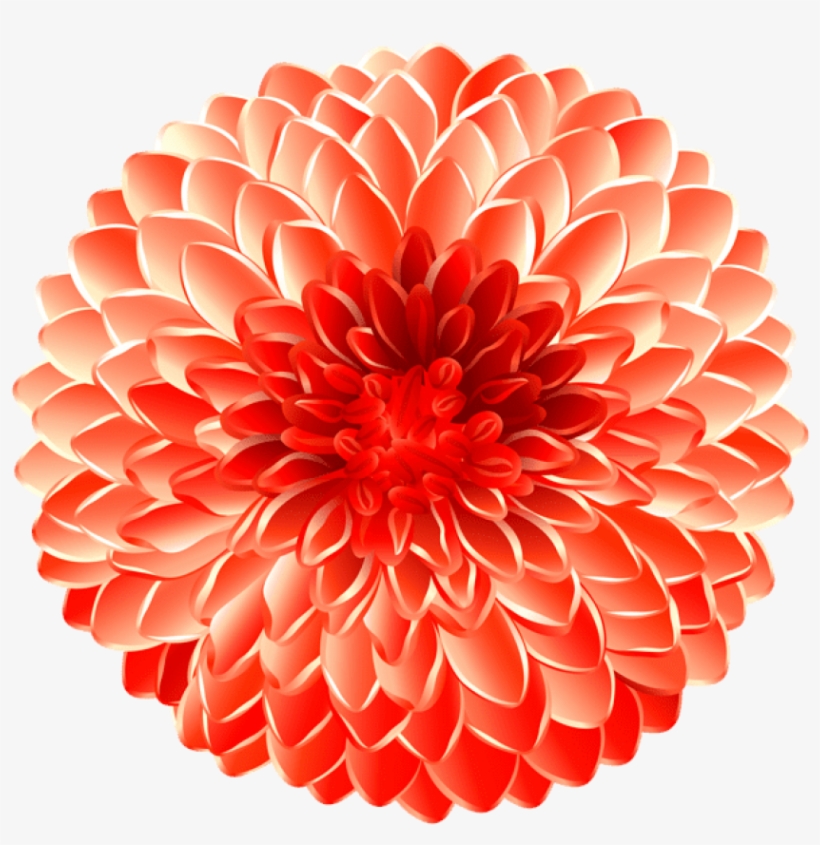 Free Png Flower Transpa Png Images Background Png Images - Dahlia ...