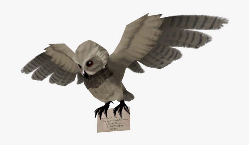 Cg5ripp - Harry Potter Owl Transparent - 750x650 PNG Download - PNGkit