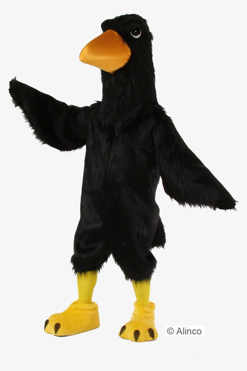 Black Big Bird - 907x1280 PNG Download - PNGkit
