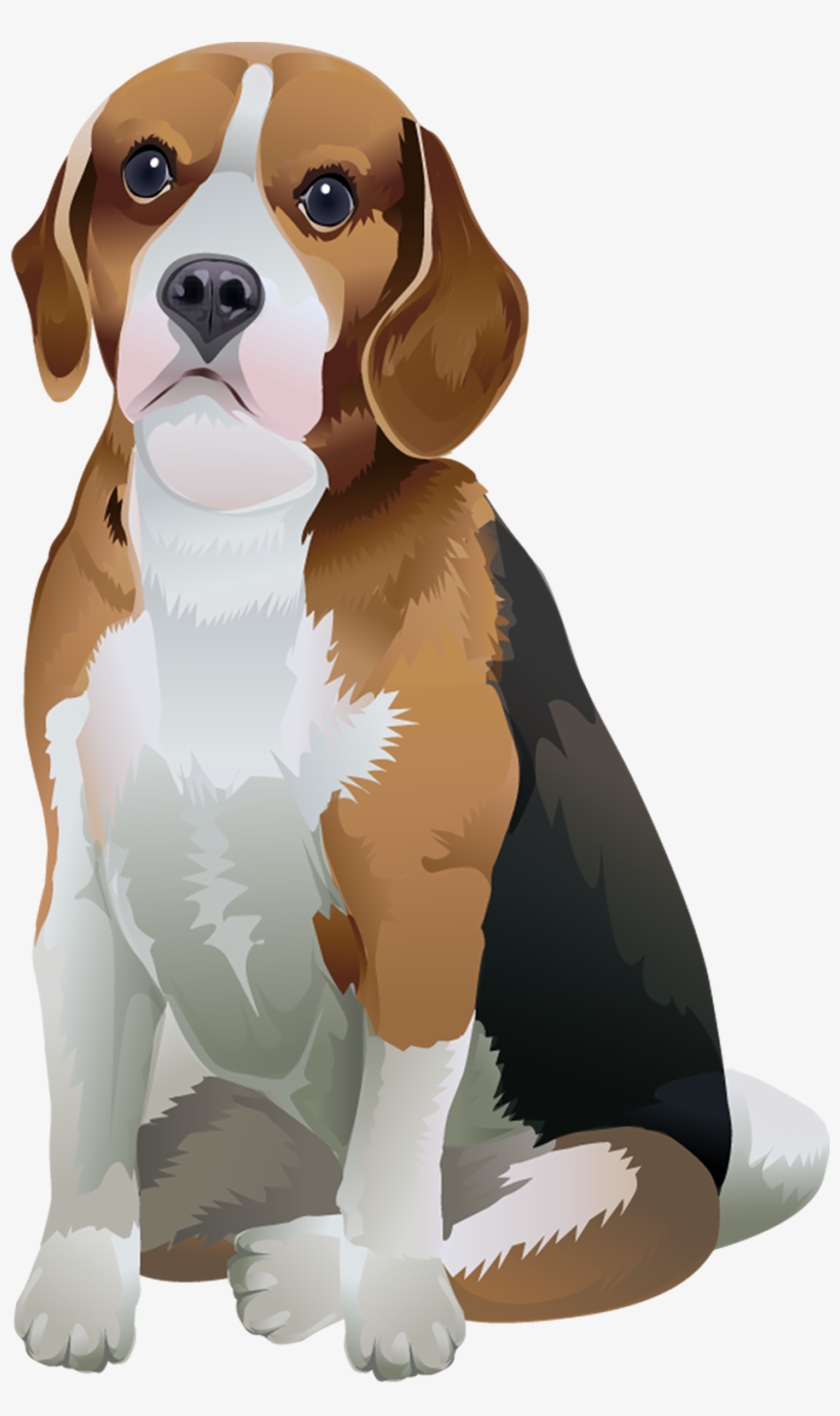 1000 X 1538 6 - Beagle Vector Png - 1000x1538 PNG Download - PNGkit