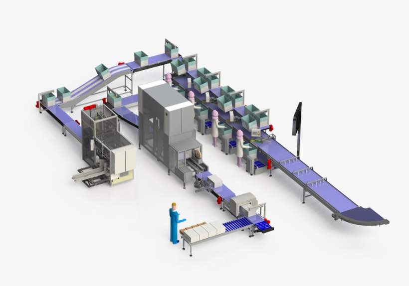 Semi Automatic Packing Line - Packaging Line - 886x578 PNG Download ...