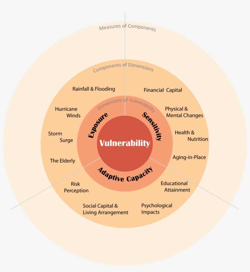 Vsd Showing Some Components Of The Dimensions Of Vulnerability - Circle ...