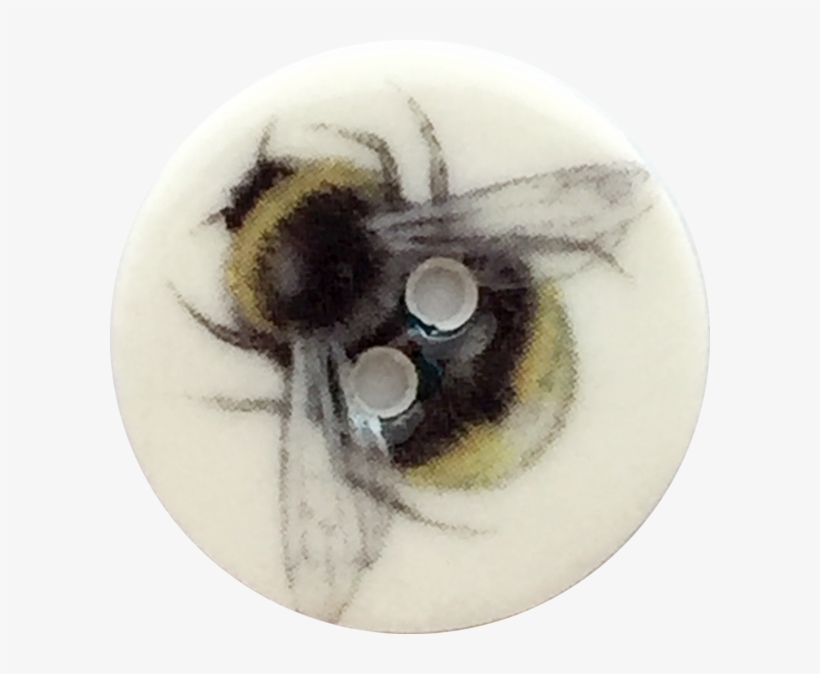 Bumble Bee Porcelain Button, - Honeybee - 600x594 PNG Download - PNGkit