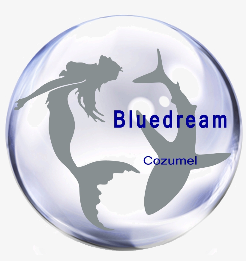 Emblem - 3800x3835 PNG Download - PNGkit